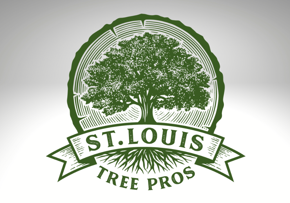 About St. Louis Tree Pros | Top Arborists and Tree Care Specialists